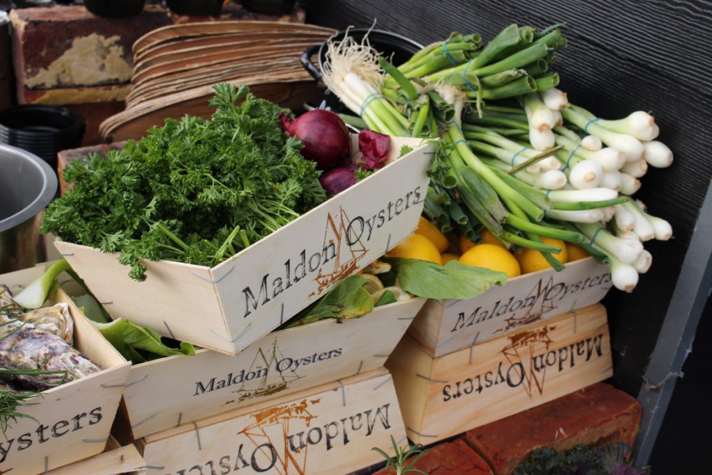 Things to do - Tipps und Sehenswürdigkeiten in Folkestone