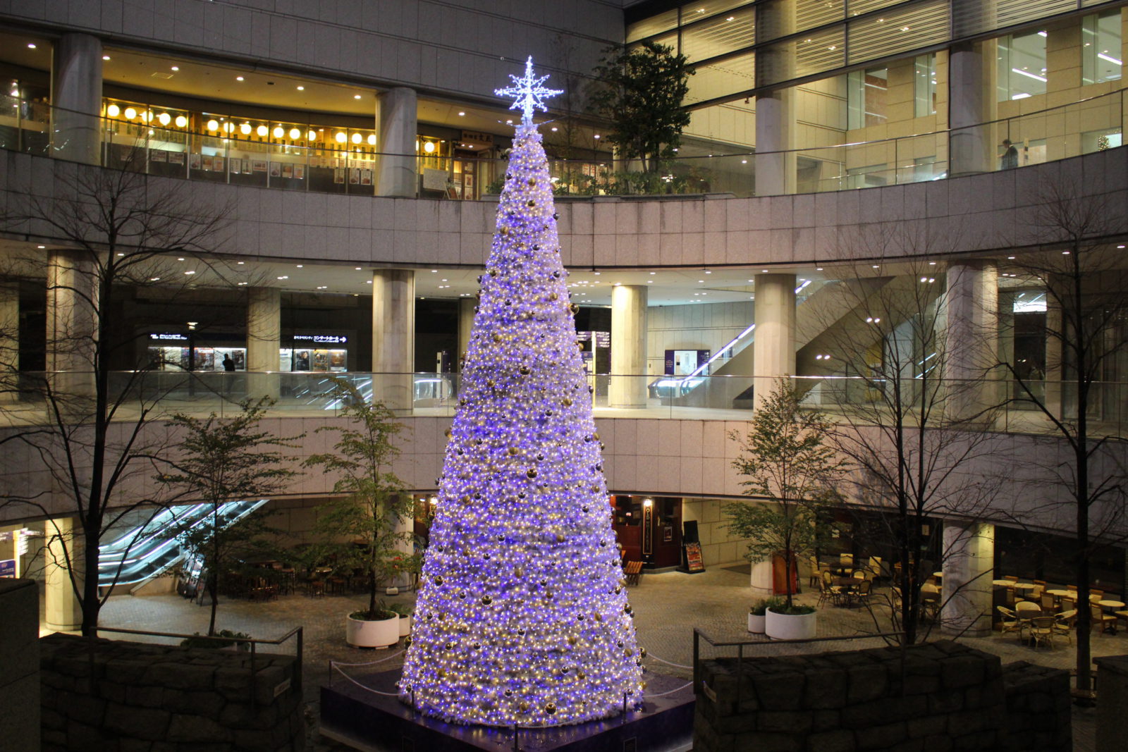 Christmas in Tokyo & Winter Illuminations