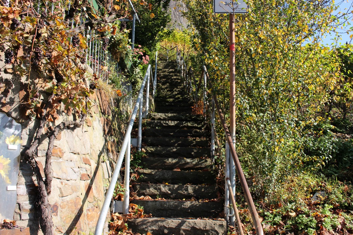 Frisch erlebt: Top 5 der Rheinromantik in Königswinter